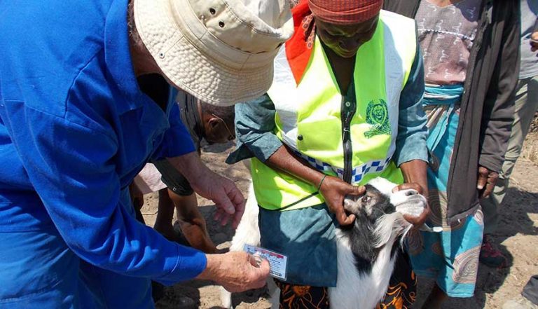 The Principles of Weather Smart Worm Control – Weather Smart Worm Control